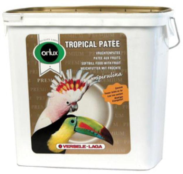 Zooservice. Versele-Laga Orlux Tropical Patee 5 kg